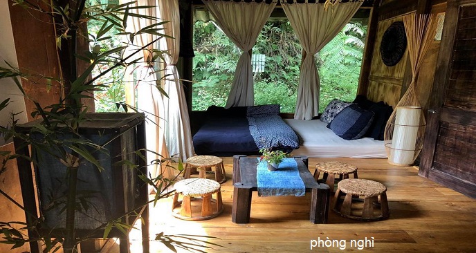 Sapa Buffalo Trekking – The magical rolling green mountains of Sapa are ...